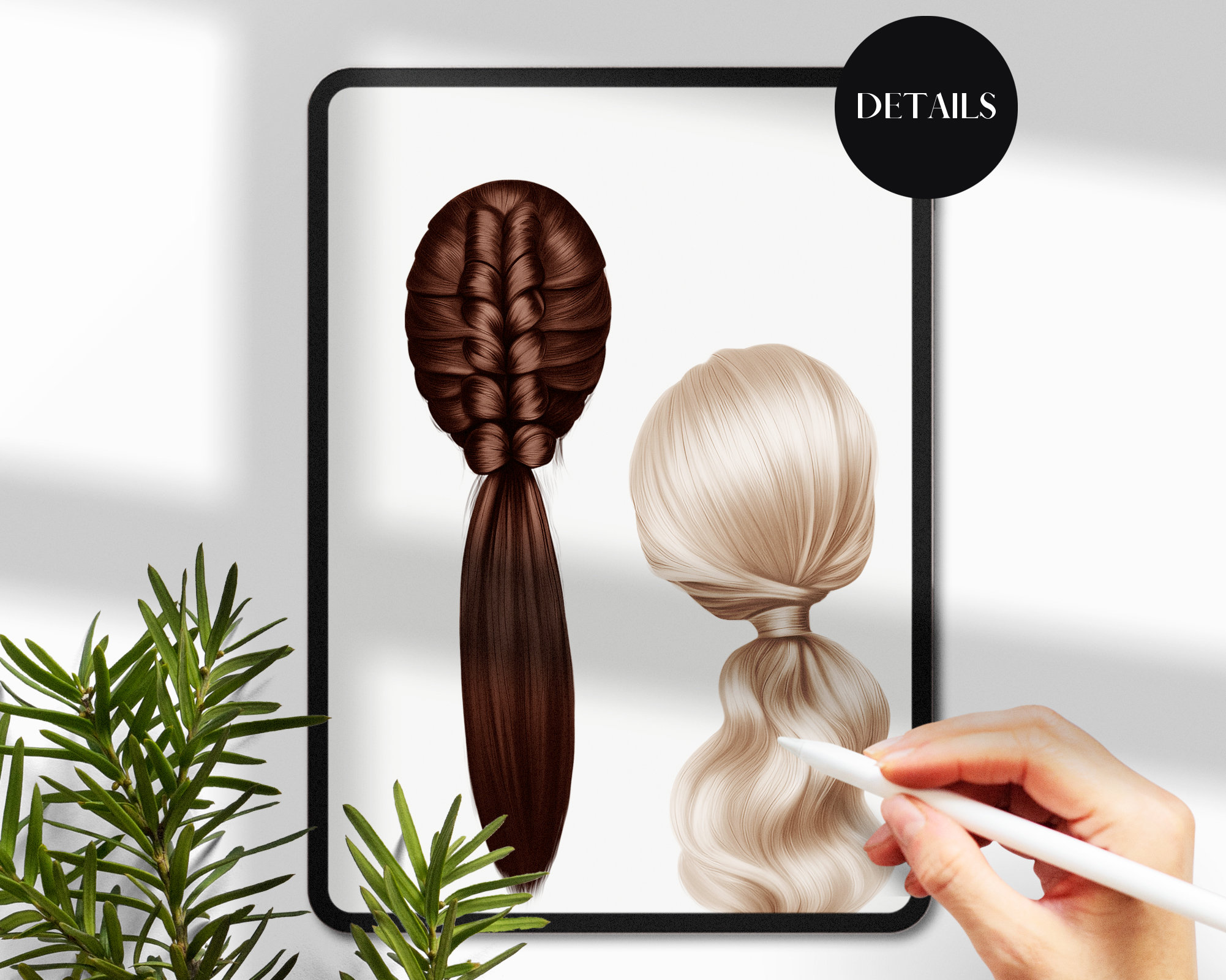 Ponytails Hairstyles Clipart, Female Hairstyles Illustrations, Woman ...