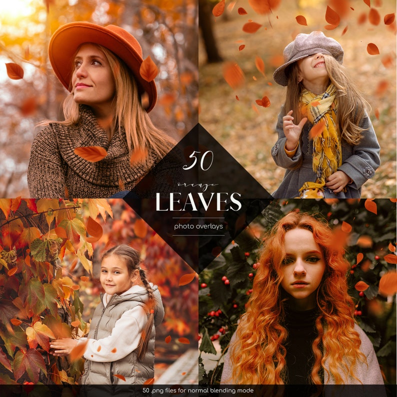 Autumn Leaves Photo Overlays, 50 PNG Files, Autumn Foliage Clip Art ...