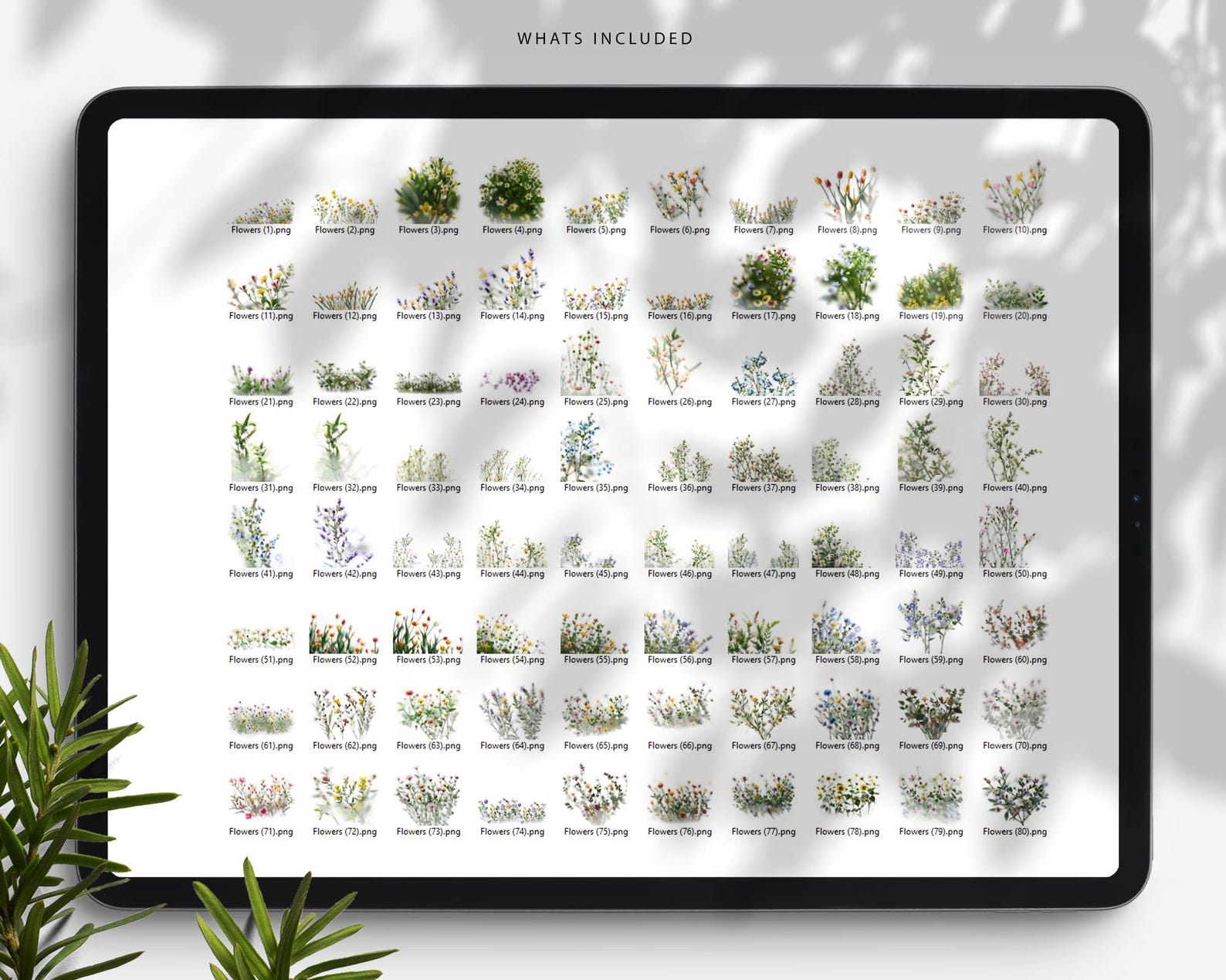 Summer Flowers Photo Overlays: Rainbow Wildflower Clipart (80 PNG Files ...