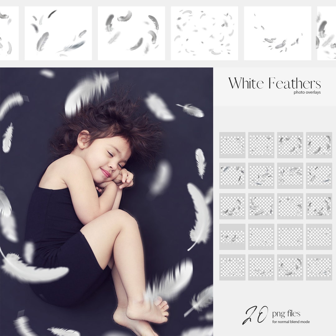 White Feathers Overlays, 20 PNG Files, White Feathers Clip Art ...