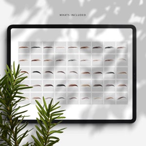 Eyebrows Photo Overlays, Realistic Eyebrows Clip Art PNG, 110 Files ...