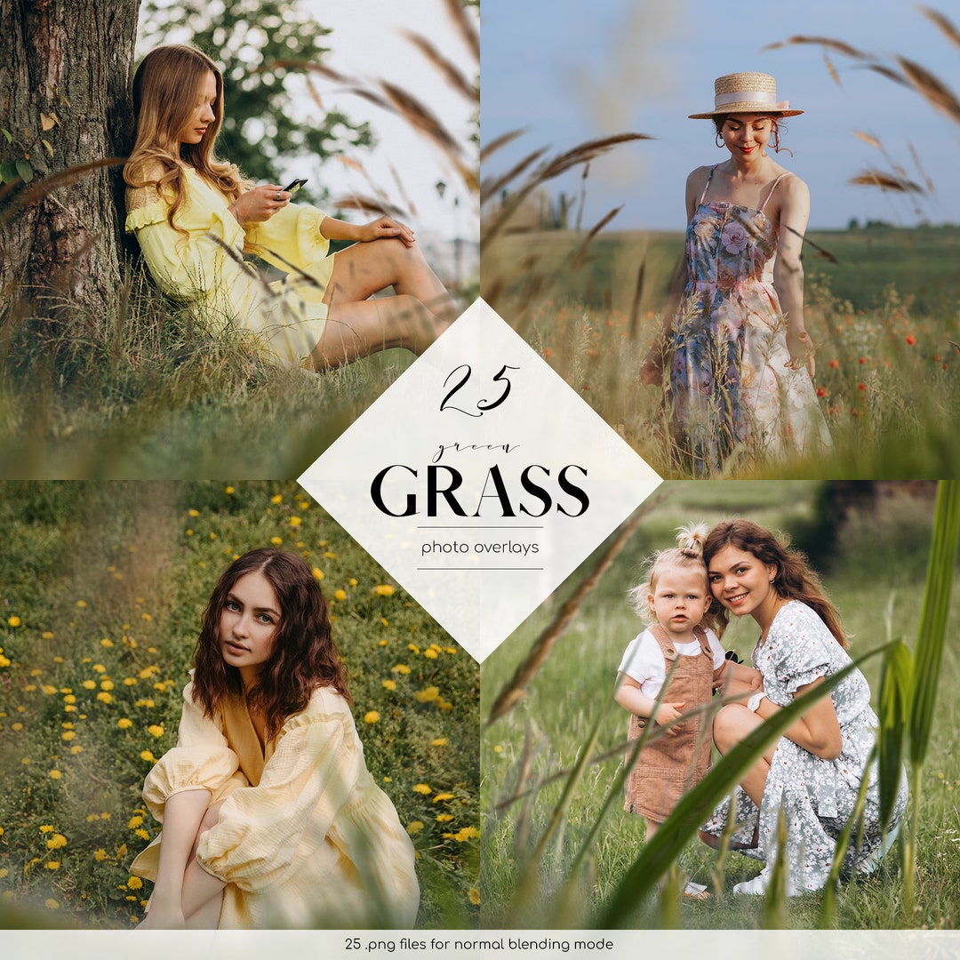 Grass Photo Overlays: Summer Green Clipart (25 PNG Files) (digital ...