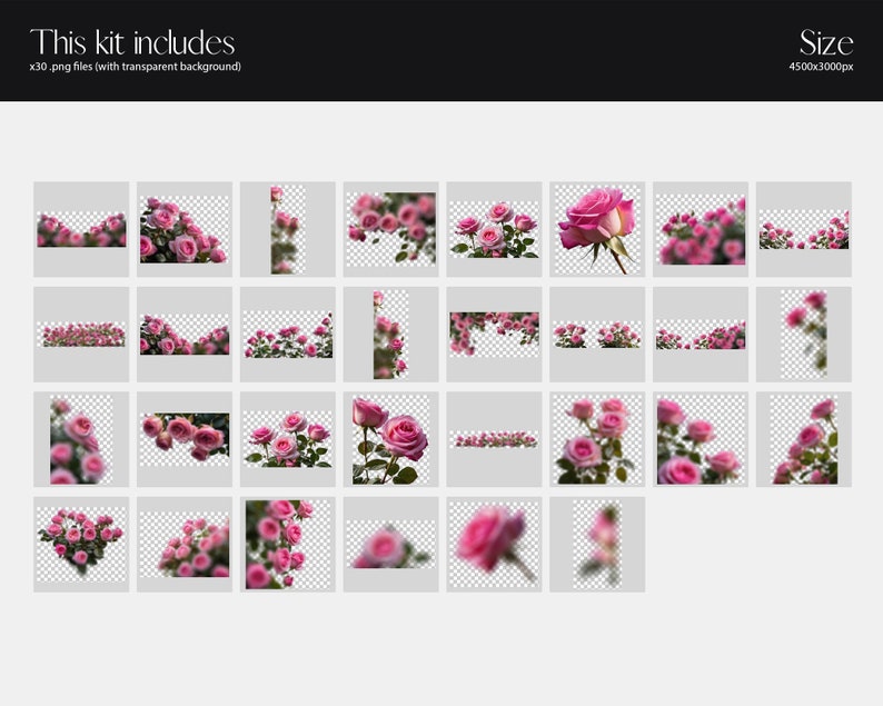 Light Pink Roses Frames Photo Overlays, 30 PNG Files, Pink Roses ...