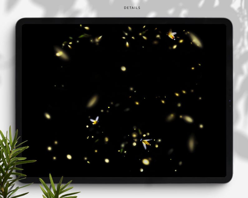 Golden Fireflies Photo Overlays: Flying Fireflies Clipart (digital ...