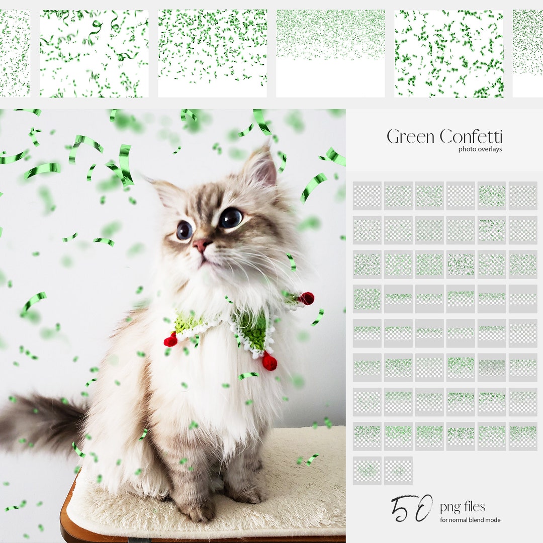 Green Confetti Overlays, 50 PNG Files, Green Confetti Clip Art, Festive ...