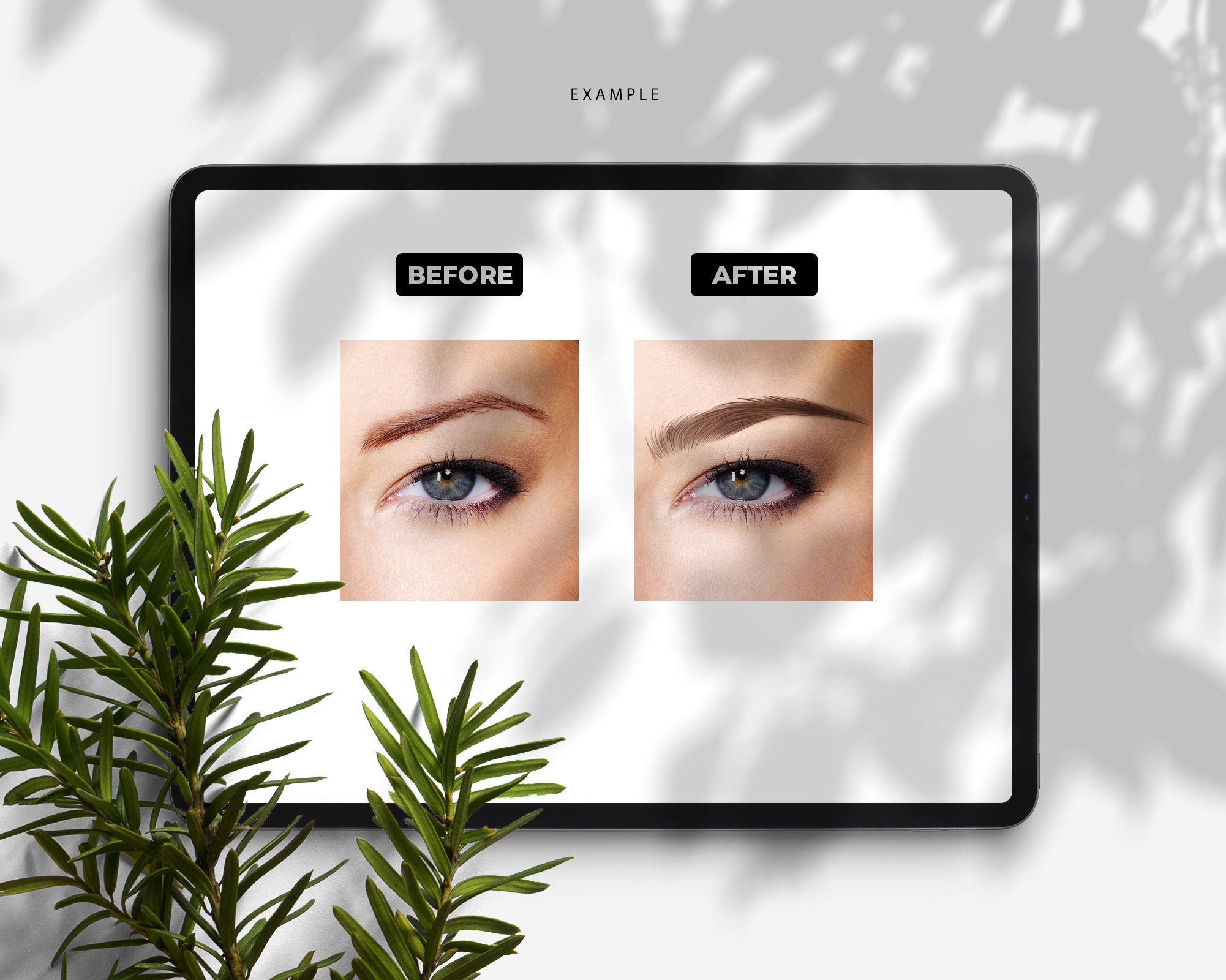 20 Eyebrows Stamps Photoshop Brushes, Realistic Eyebrows .ABR, Face ...