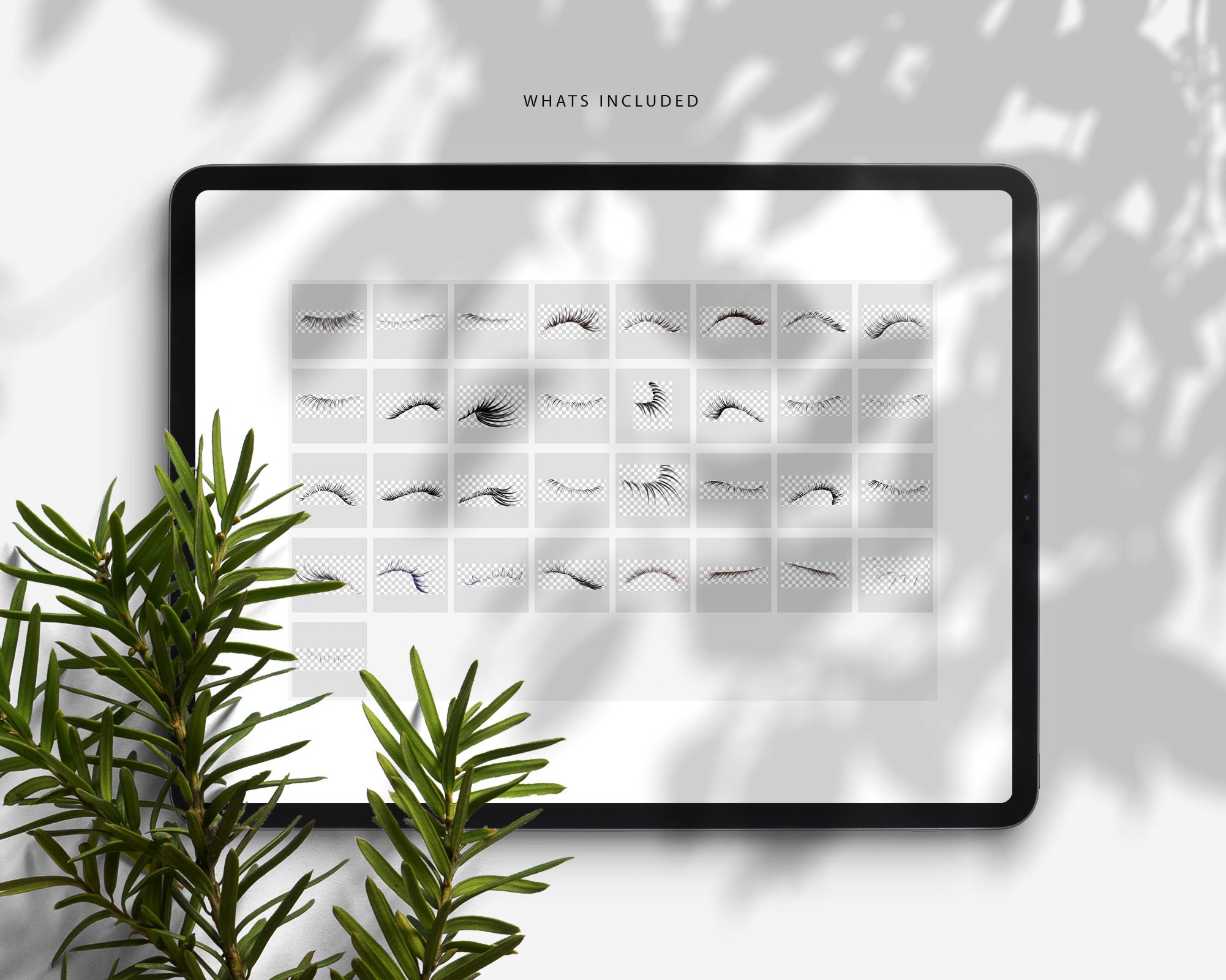 Eyelashes Photo Overlays, Realistic Eyelashes Clip Art PNG, 33 Files ...