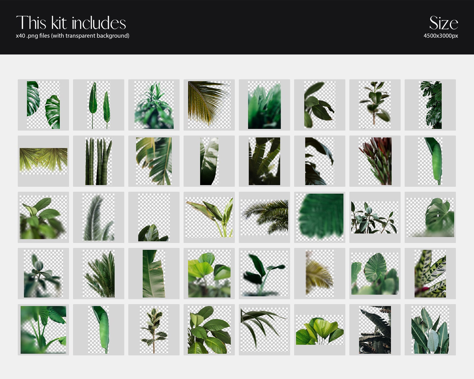 Tropical Leaves Photo Overlays, Plants Clipart, 40 PNG Files, Tropical ...