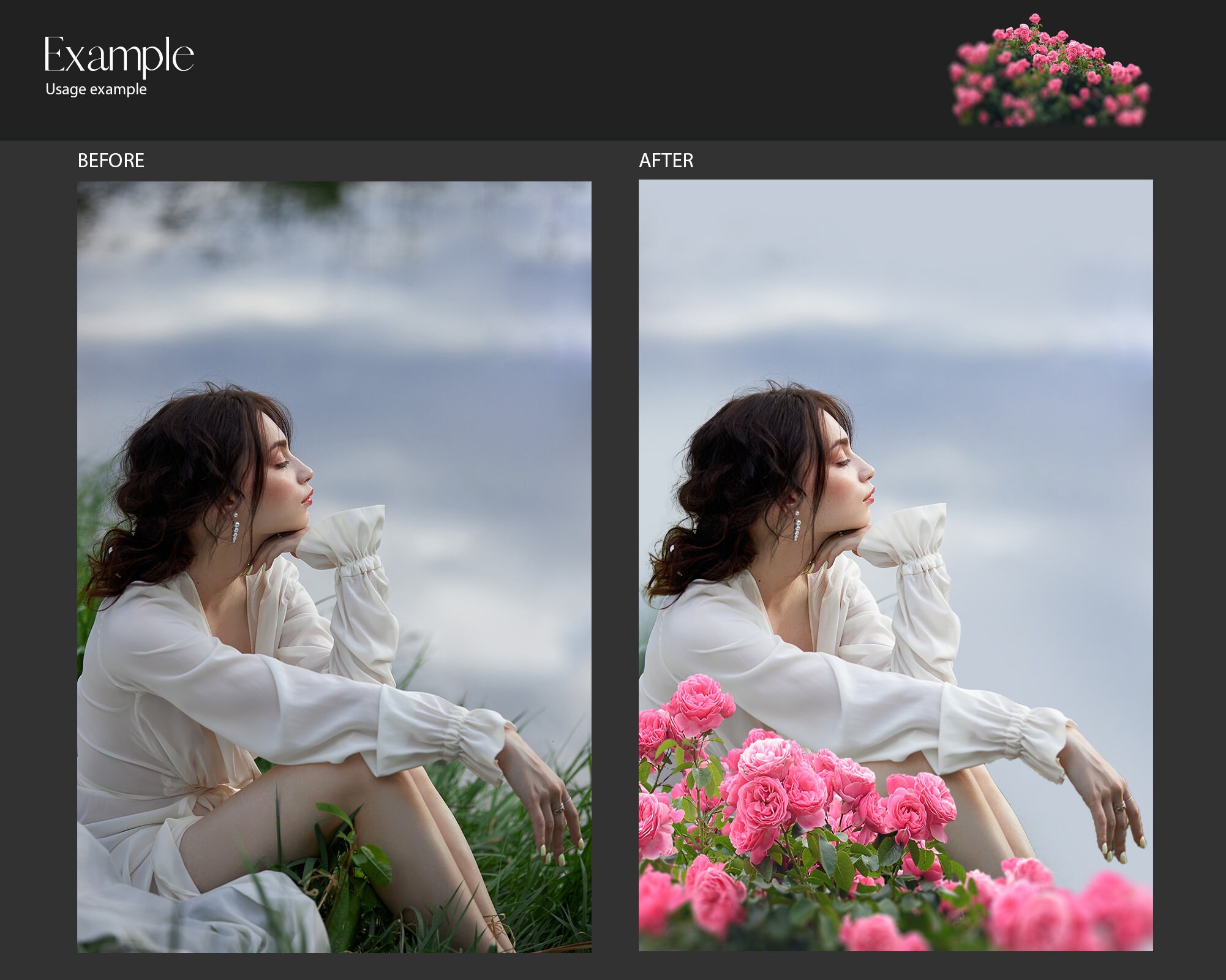 Gently Pink Roses Clipart, Flowers Photo Overlays, 20 PNG Files, Pink ...