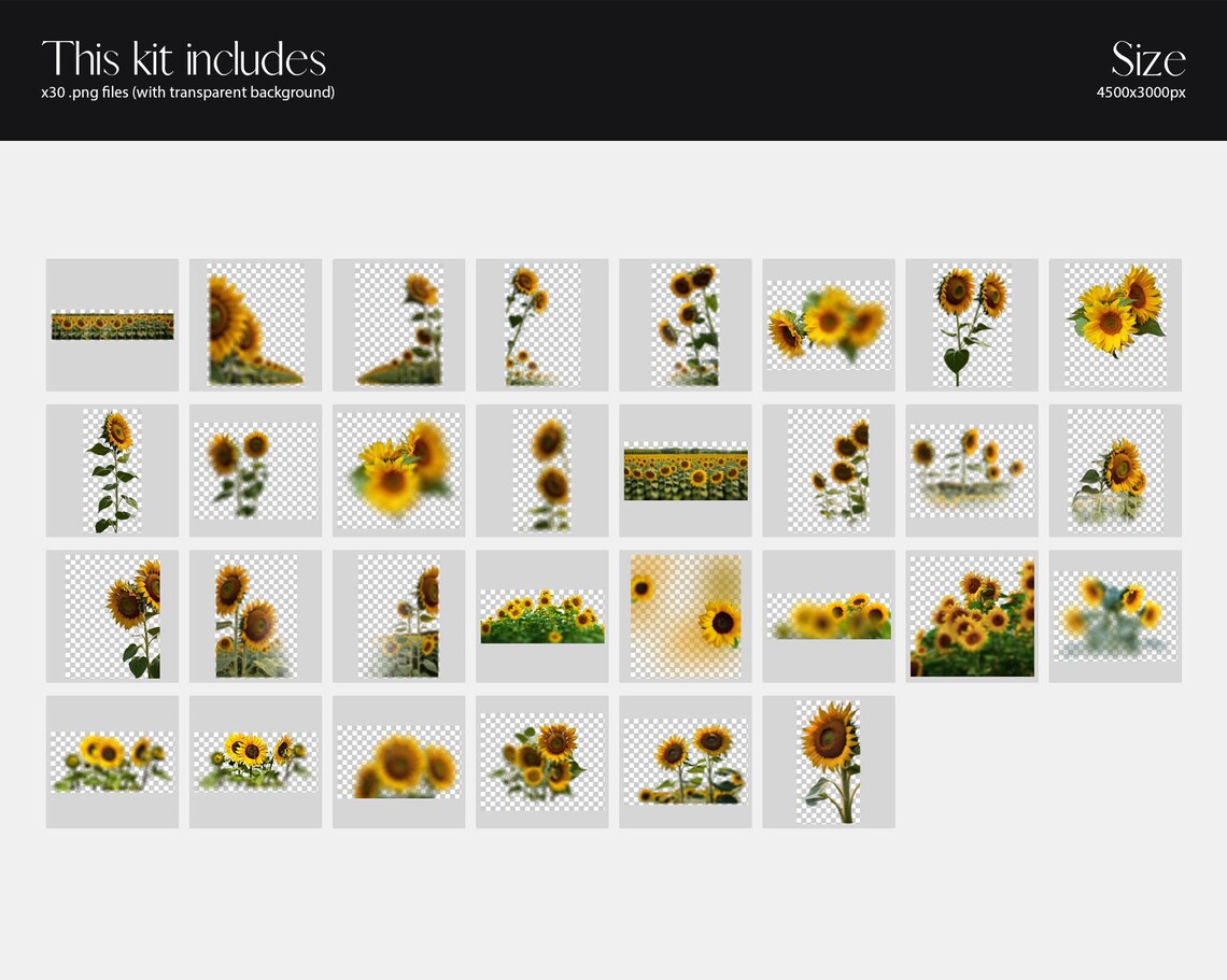 Sunflowers Photo Overlays, 30 PNG Files, Sunflowers Clipart, Yellow ...