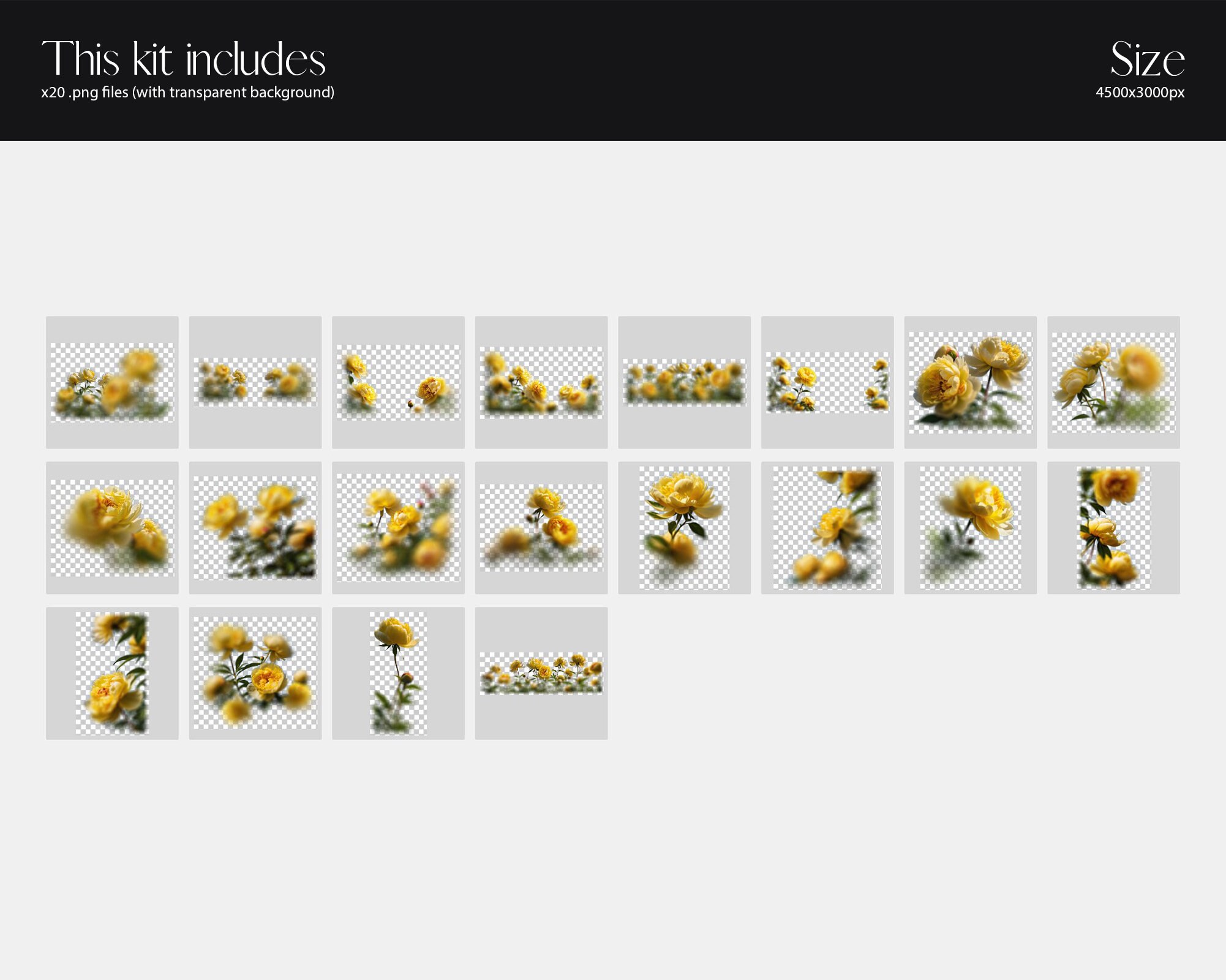 Yellow Peonies Photo Overlays, 20 PNG Files, Peony Clipart, Yellow ...