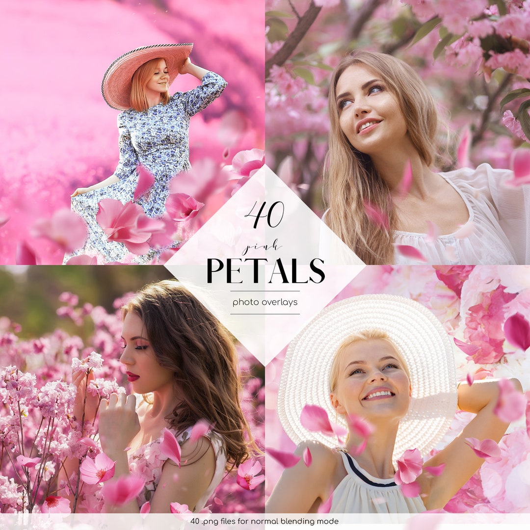 Pink Petals Photo Overlays, 40 PNG Files, Pink Petals Clipart, Pink ...