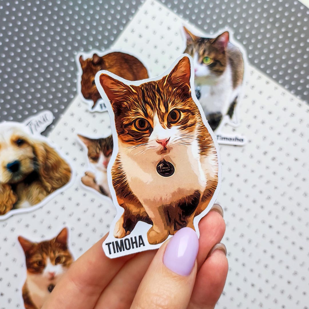 Personalized Cat Vinyl Stickers, Gift for Pet Owner, Cat Laptop ...