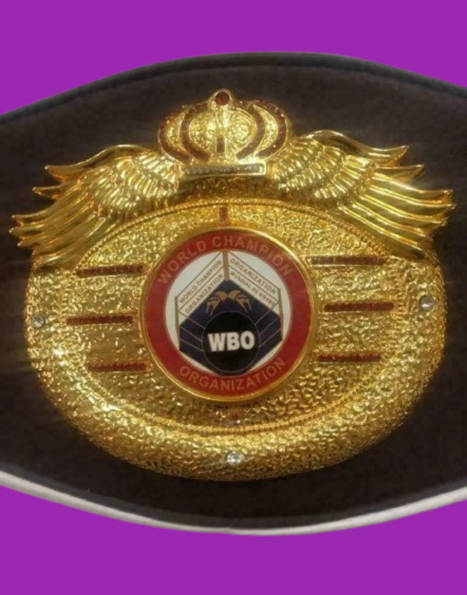 WORLD BOXING ORGANIZATION Championship Title Belt - Etsy