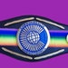 COMMONWEALTH BOXING COUNCIL Championship Title Belt - Etsy