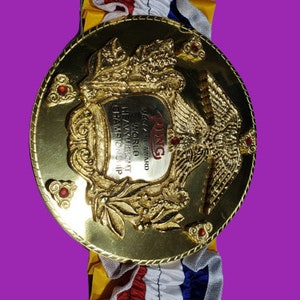 ROCKY BALBOA RING Magazine Heavyweight Championship Title Belt - Etsy
