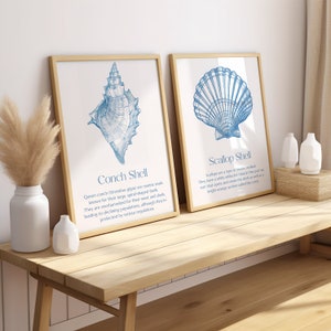 Coastal Seashell 3 Piece Wall Art, Light Blue Prints Beach House Decor ...