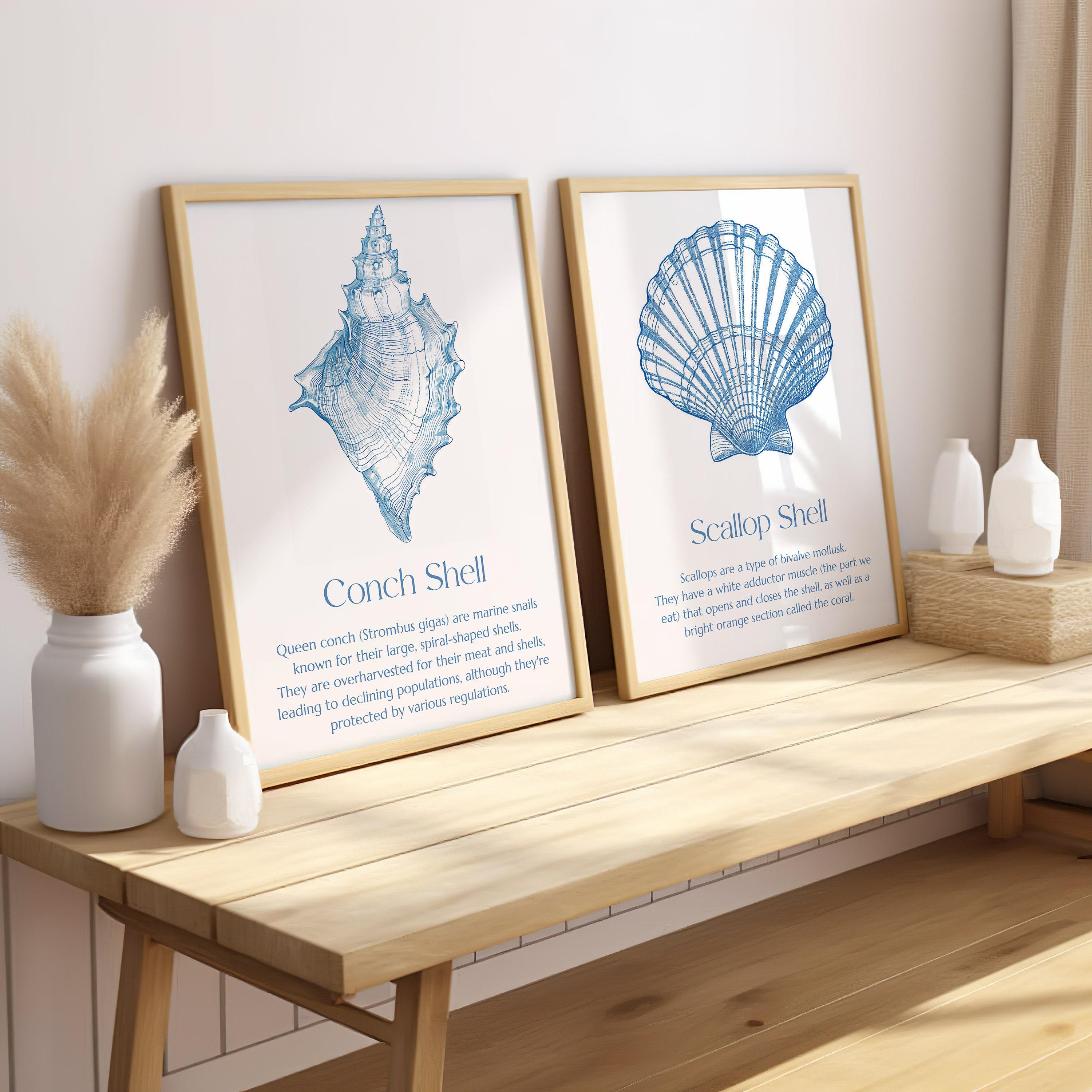 Coastal Seashell 3 Piece Wall Art, Light Blue Prints Beach House Decor ...