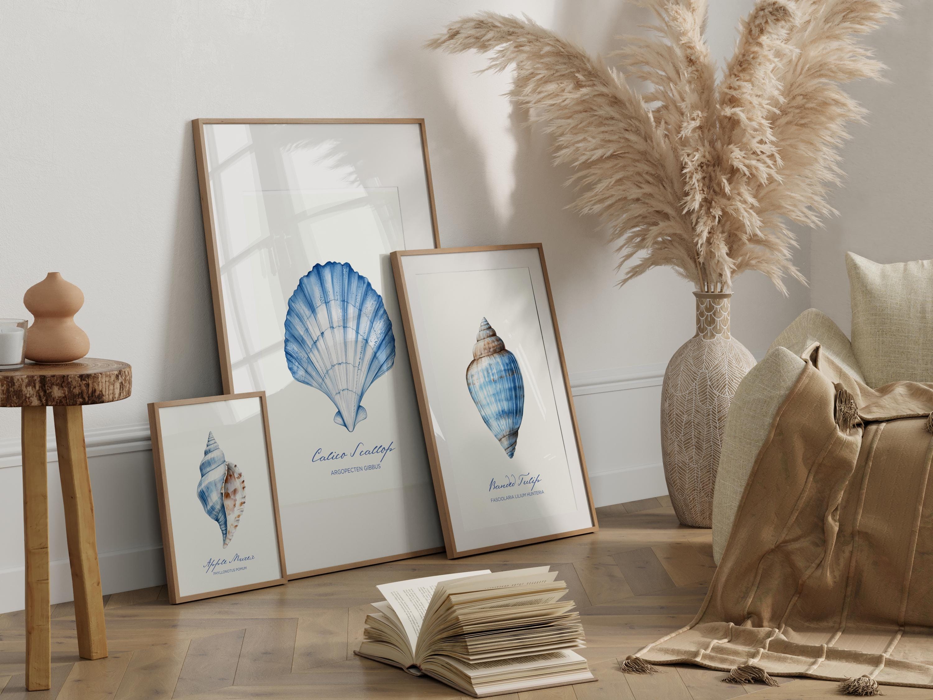 Coastal Seashell Set of 3, Light Blue Prints Beach House Decor Nautical ...