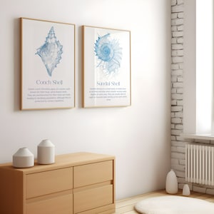 Coastal Seashell 3 Piece Wall Art, Light Blue Prints Beach House Decor ...