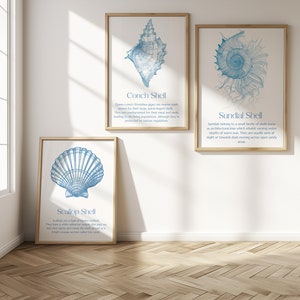 Coastal Seashell 3 Piece Wall Art, Light Blue Prints Beach House Decor ...