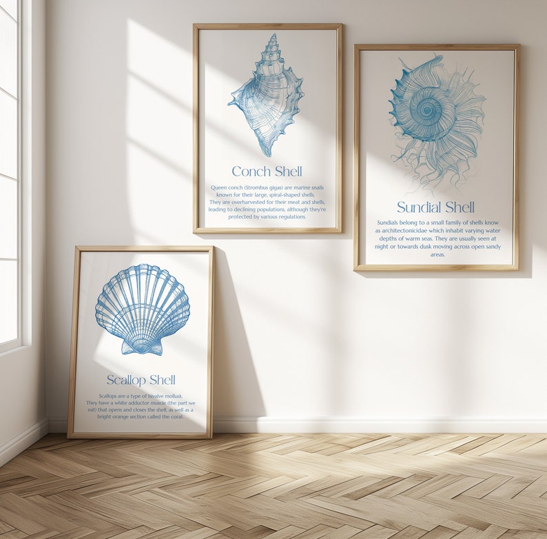 Coastal Seashell 3 Piece Wall Art, Light Blue Prints Beach House Decor ...