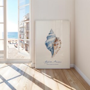 Coastal Seashell Set of 3, Light Blue Prints Beach House Decor Nautical ...