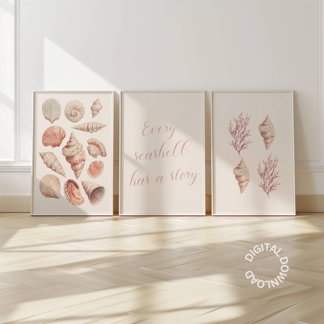 Coastal Seashell 3 Piece Wall Art Aesthetic Prints Beach House Decor ...