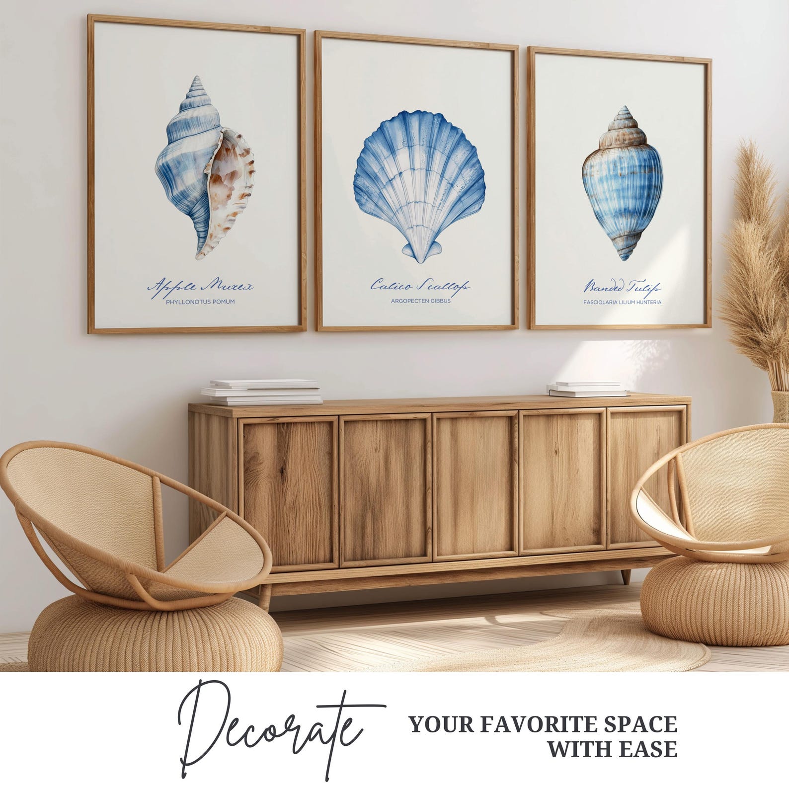 Coastal Seashell Set of 3, Light Blue Prints Beach House Decor Nautical ...
