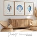 Coastal Seashell Set of 3, Light Blue Prints Beach House Decor Nautical ...