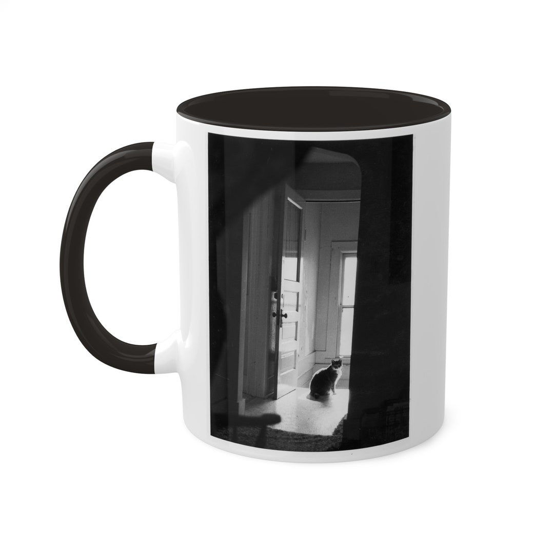 Fine Art Black and White Photograph Aesthetic BW Framed Cat Created by ...