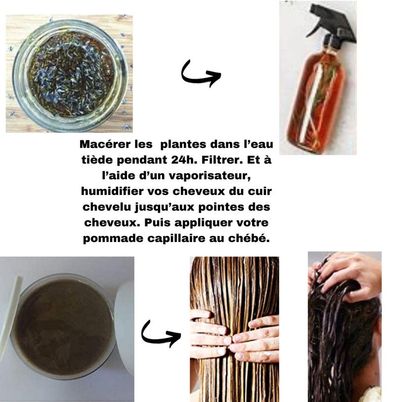 Mixture of Ayurvedic Plants for Chébé (star Anise, Lavender, Moringa ...