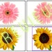 Learning Cards - Set of 16 Matching Cards for Learner Readiness - Etsy