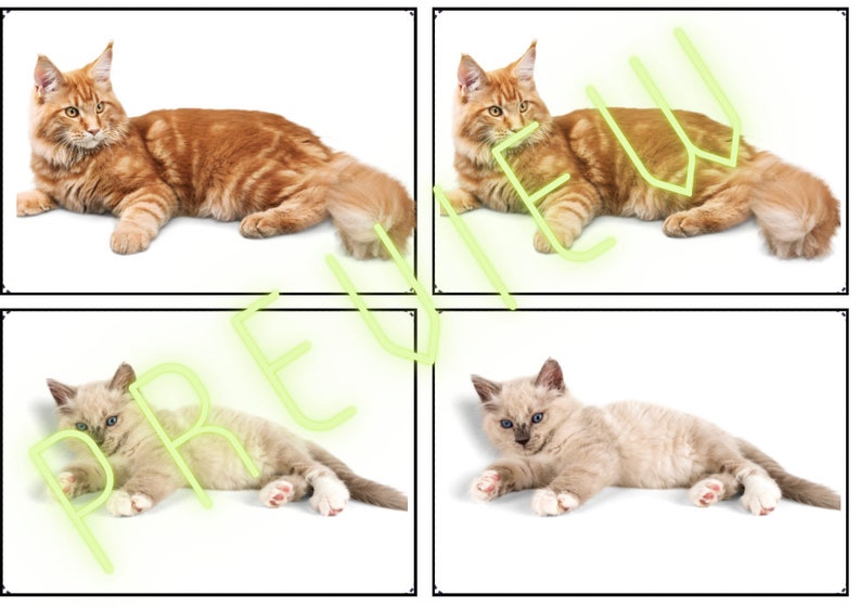 Learning Cards Set of 16 Matching Cards for Learner Readiness - Etsy