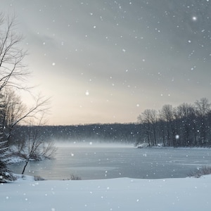 Serene Winter Desktop Backgrounds: Snowy Scenes & Frosty Landscapes ...