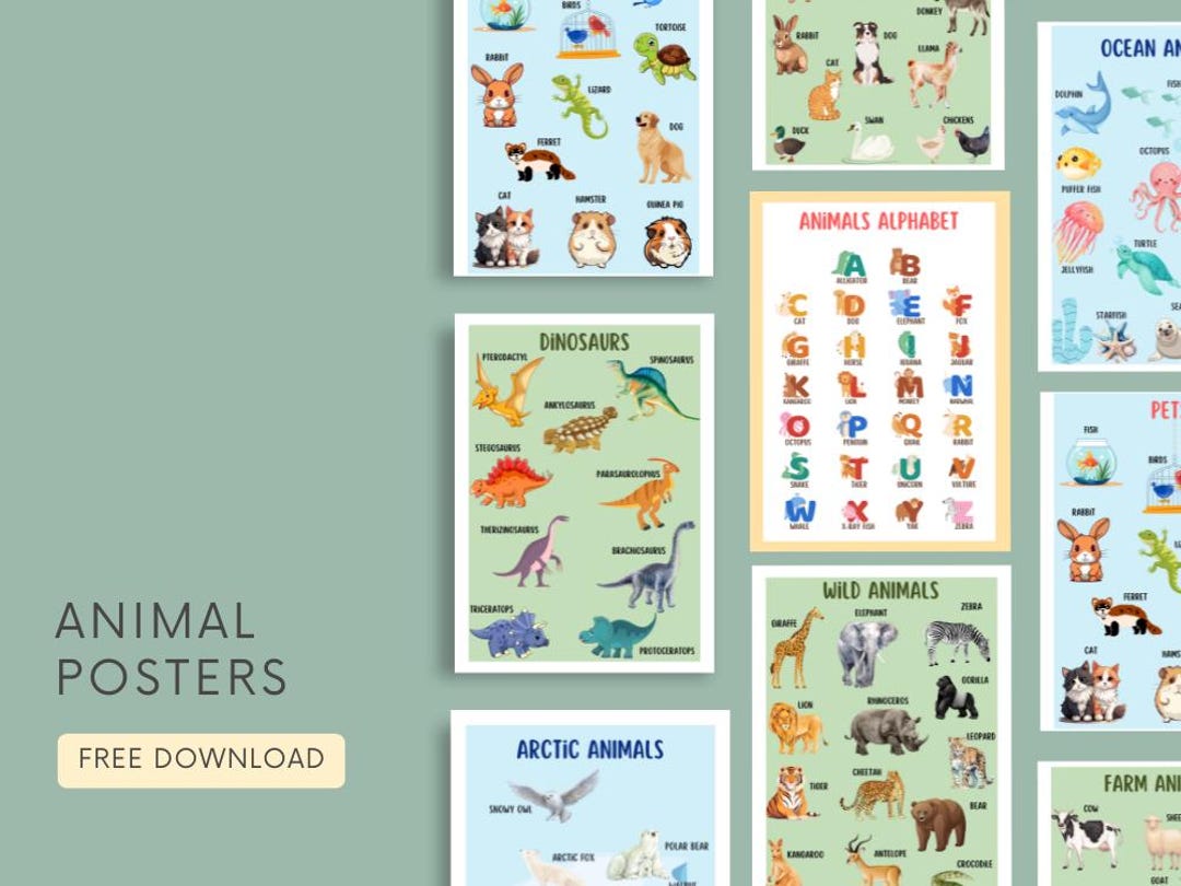 Animal Posters for Toddlers, Educational Animal Classification Prints ...