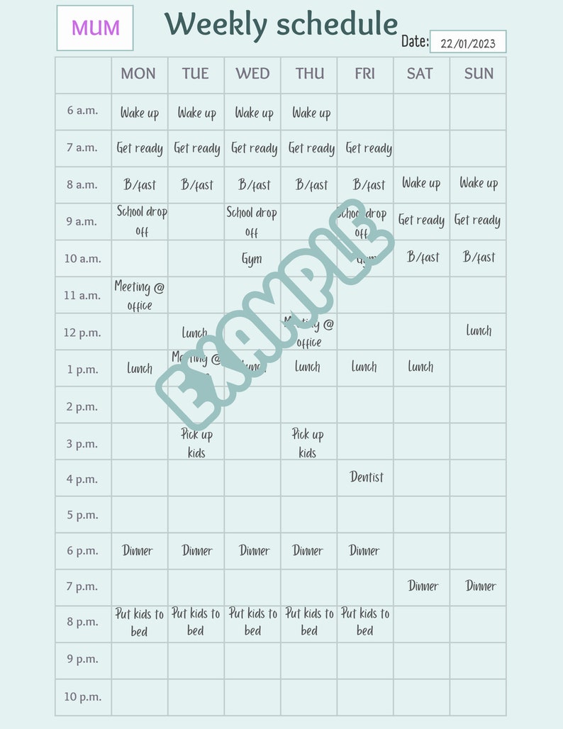 Ultimate Family Organization Bundle EDITABLE Weekly Family Planner ...