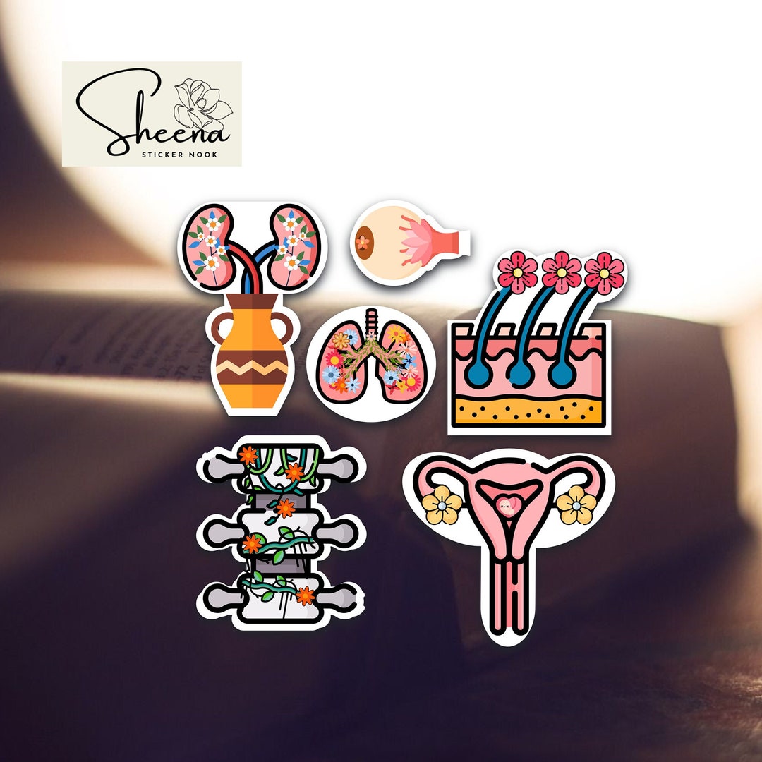 Anatomy Sticker Pack 6 Pieces Kidney Sticker, Eyeball Sticker, Skin ...