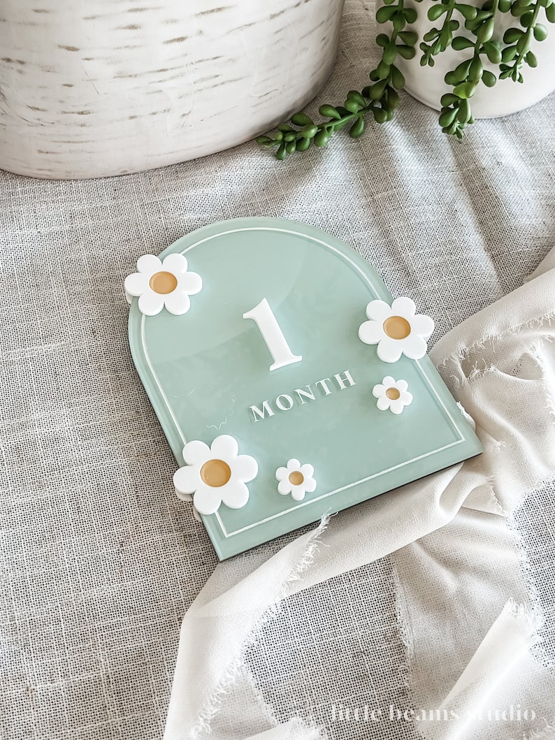 Acrylic Daisy Flower Arch Milestone Cards | Monthly Milestone Markers ...