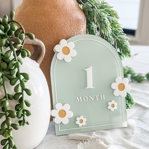Acrylic Daisy Flower Arch Milestone Cards | Monthly Milestone Markers ...