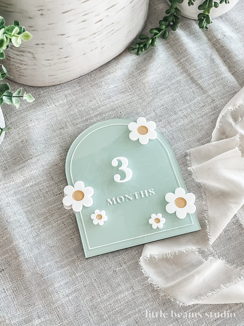 Acrylic Daisy Flower Arch Milestone Cards | Monthly Milestone Markers ...