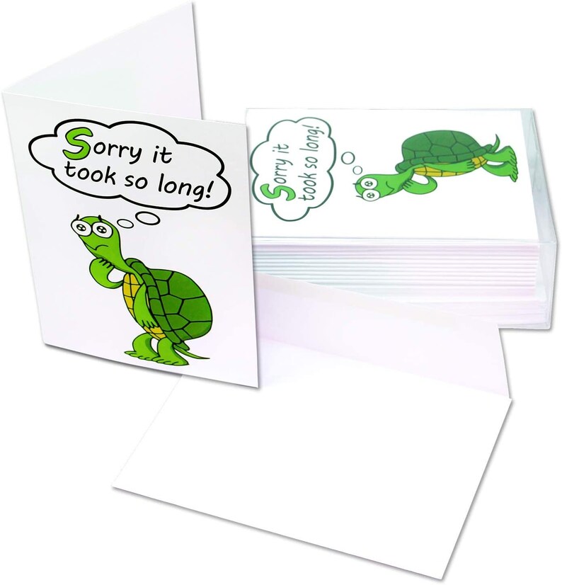Sorry It Took so Long Turtle Cards 12 or 24 Count-blank Inside With ...