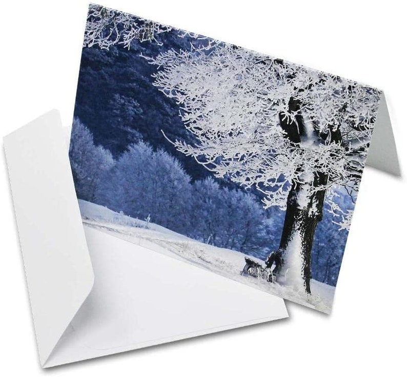 Enchanted Winter Wonderland Cards 12 or 24 Count-blank Inside With ...