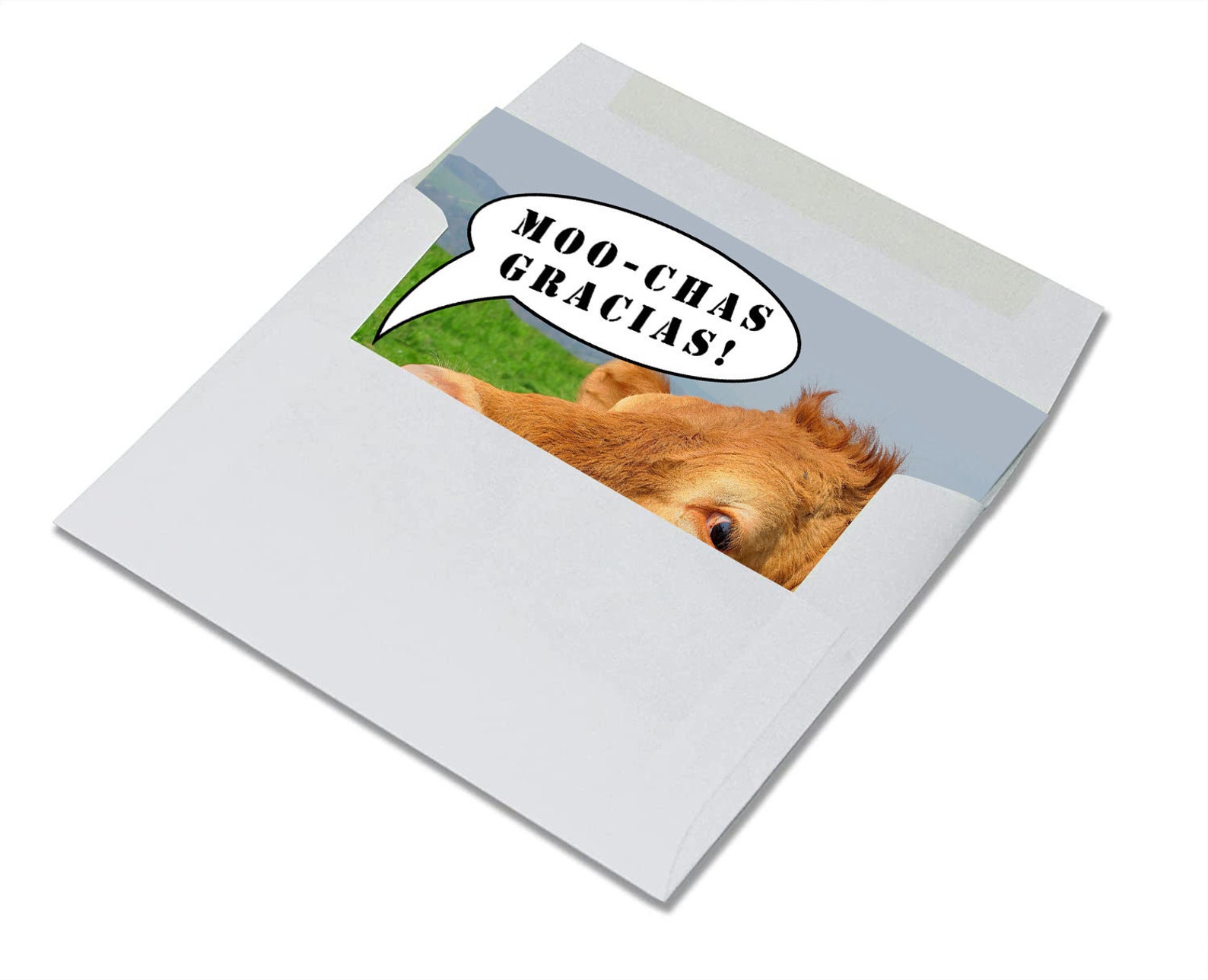 Moo-chas Gracias Cow Thank You Cards 12 or 24 Count - Blank Inside With ...