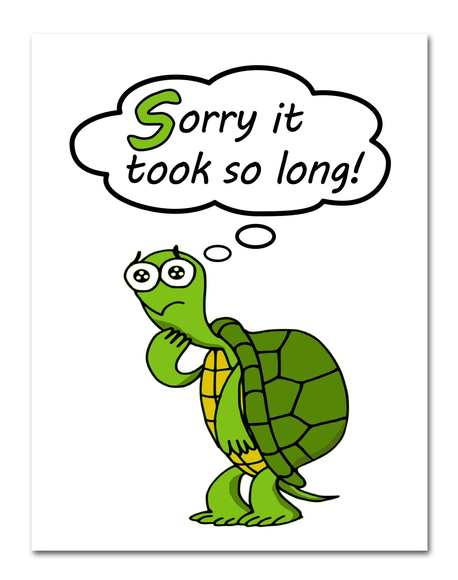 Sorry It Took so Long Turtle Cards 12 or 24 Count-blank Inside With ...