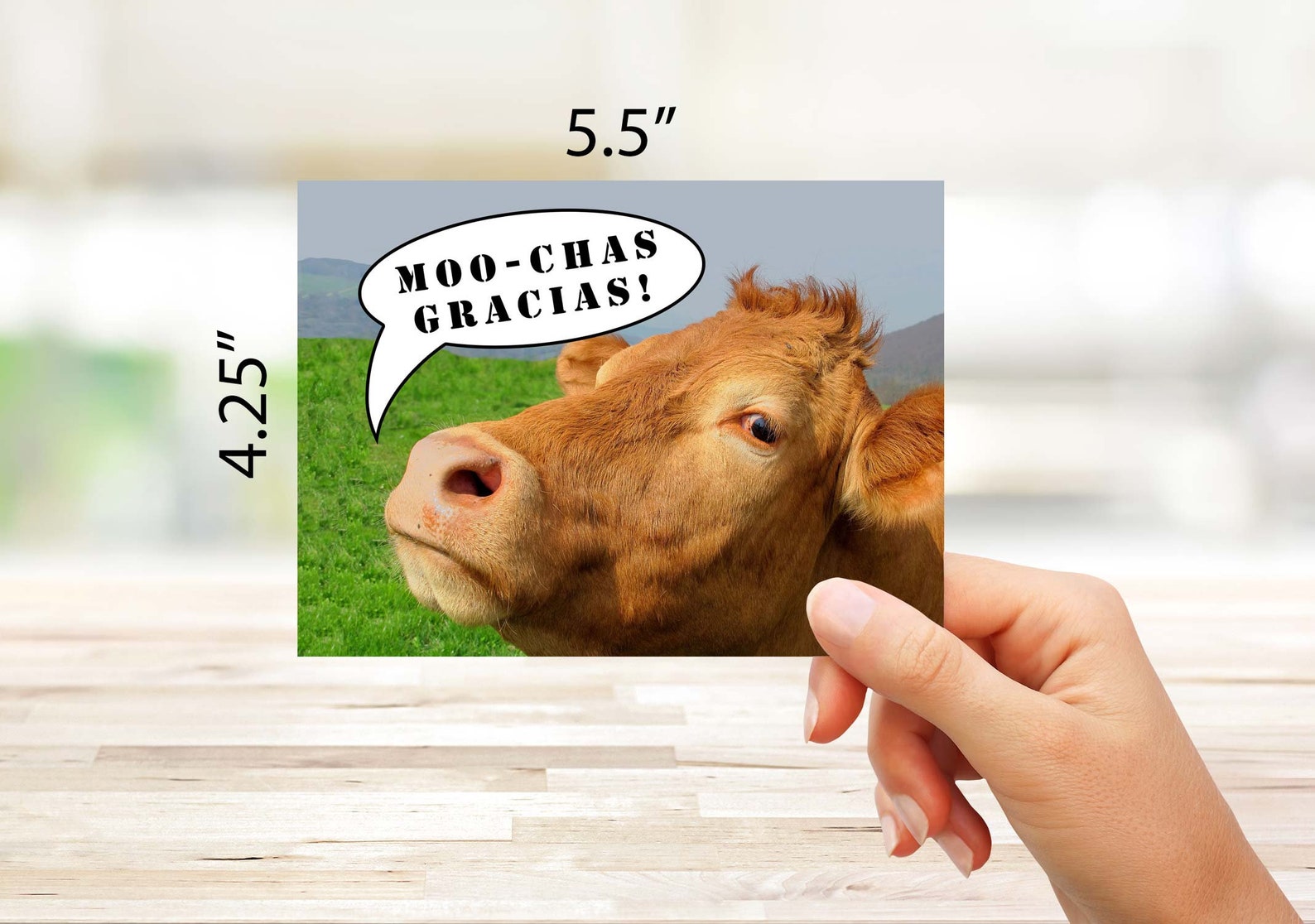 Moo-chas Gracias Cow Thank You Cards 12 or 24 Count - Blank Inside With ...