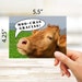 Moo-chas Gracias Cow Thank You Cards 12 or 24 Count - Blank Inside With ...