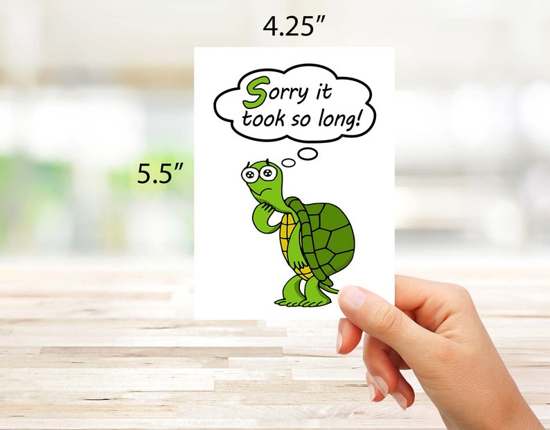 Sorry It Took so Long Turtle Cards 12 or 24 Count-blank Inside With ...