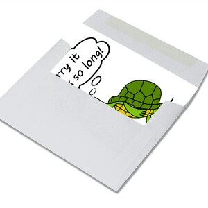 Sorry It Took so Long Turtle Cards 12 or 24 Count-blank Inside-5.5"x4 ...