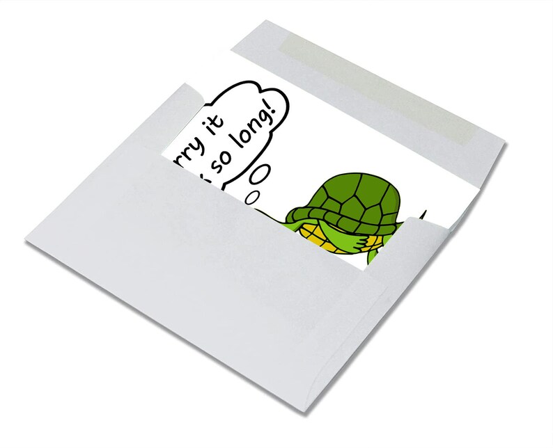 Sorry It Took so Long Turtle Cards 12 or 24 Count-blank Inside With ...